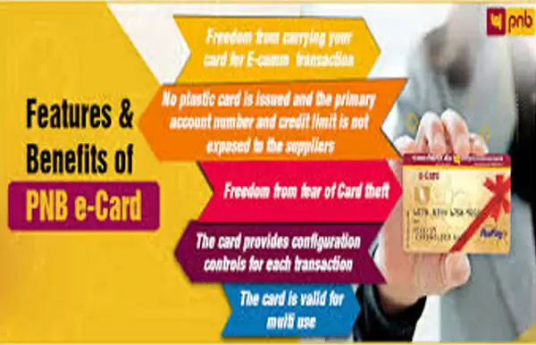 PNB now launch e-credit card - Buziness Bytes