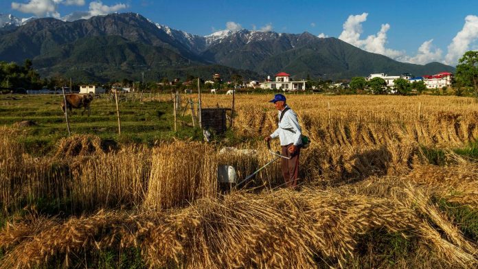 Central Government hikes MSP for six Rabi crops