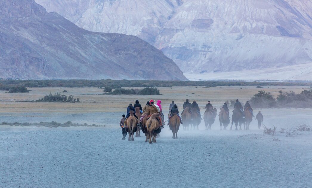 Want To Enjoy Snow In India? Check Out These Destinations!